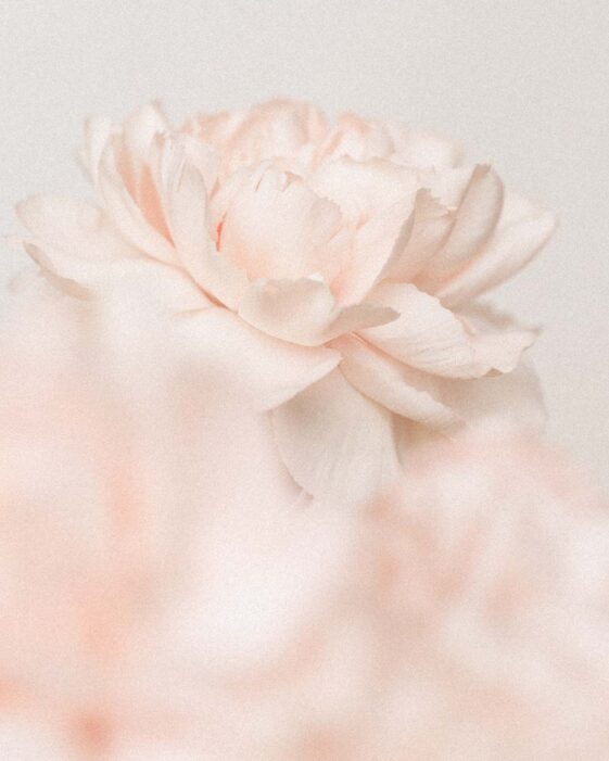 BEAUTY SCENE EXCLUSIVE: Calixta Varady by Pablo Rodrigo